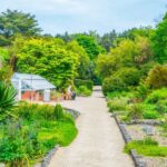 Dublin to Malahide Castle & Gardens Half-Day Trip by Car - The Gardens and Outside Attractions
