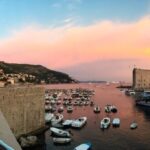 Dubrovnik: 45-Minute Panoramic Cruise Tour - The Lokrum Island Stop and Marine Life