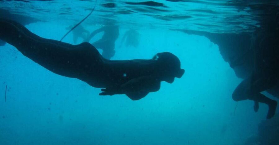 Dubrovnik: Blue Cave & Sunj Beach Boat Tour with Drinks - The Experience in Detail