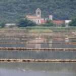 Dubrovnik: Day Trip to 3 Peljesac Wineries with Tastings - Who Will Love This Tour?