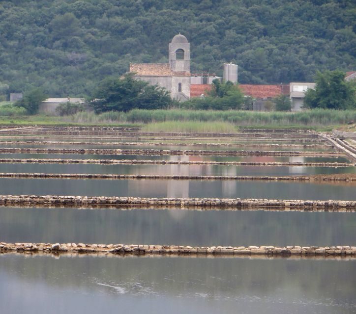 Dubrovnik: Day Trip to 3 Peljesac Wineries with Tastings - Who Will Love This Tour?