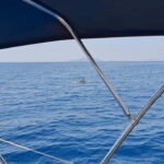 Dubrovnik - Full day Small group tour to Elafity & Blue cave - Who Would Love This Tour?