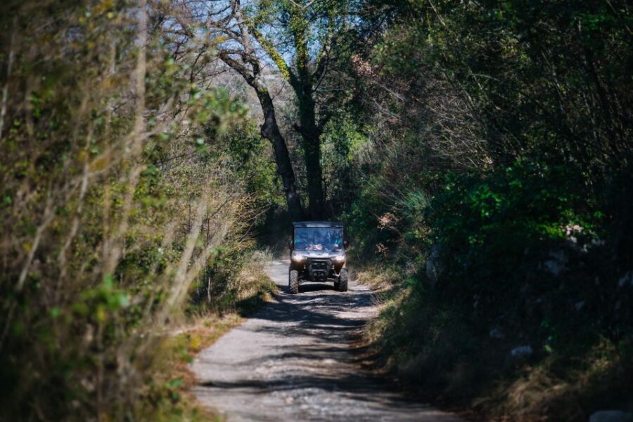 Dubrovnik: Private Panoramic Half-Day Buggy Tour with Brunch - What to Expect During the Tour