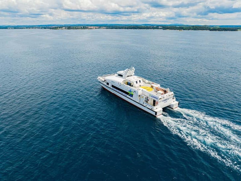 Dubrovnik to/from Kotor: Day Trip or One-Way by Fast Ferry - Free Time and Optional Activities