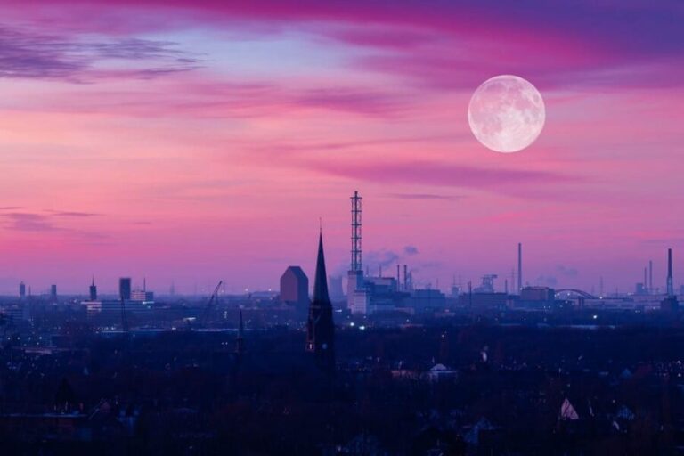 Duisburg Private Guided Walking Tour - Why This Tour Offers Value