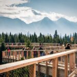 Dunajec River Gorge Rafting and Tree Top Walk from Krakow - The Practical Side: Details and Value