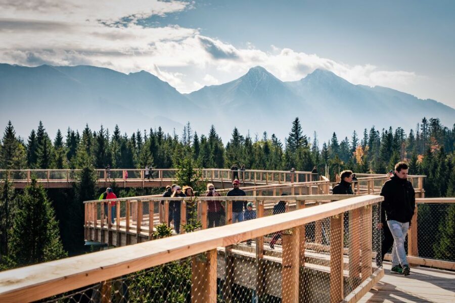 Dunajec River Gorge Rafting and Tree Top Walk from Krakow - The Practical Side: Details and Value