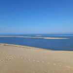 Dune du Pilat, Oysters Tasting and Arcachon! What else ? - An In-Depth Look at the Tour Experience