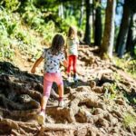 Durmitor National Park hiking tour - easy to moderate - Authentic Experiences and Personal Touches