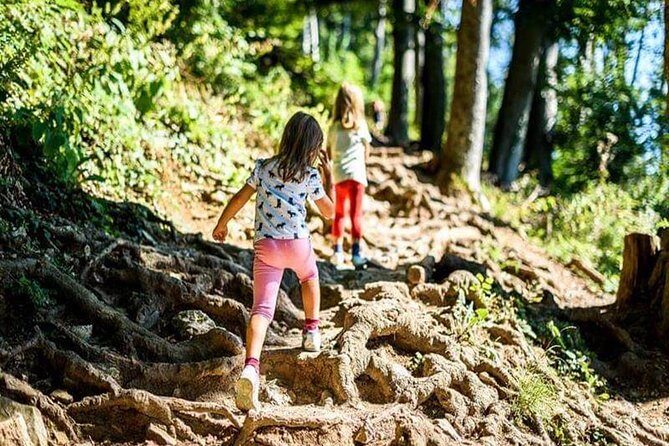 Durmitor National Park hiking tour - easy to moderate - Authentic Experiences and Personal Touches