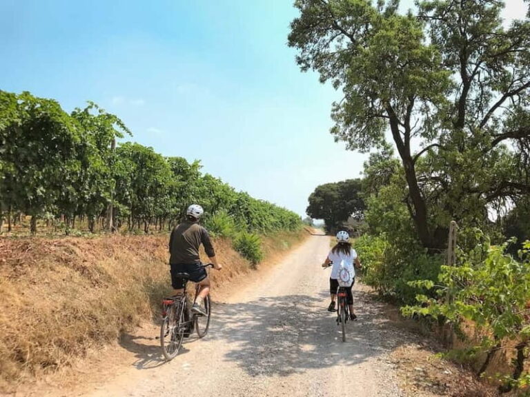E-bike adventure among villages and medieval castles - What You Can Expect from This E-bike Tour
