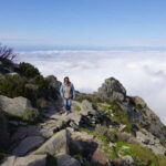 E bike Excursions and Lunch in Monte Capanne - A Closer Look at the Itinerary and Experience