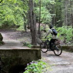 E-BIKE FAMILY TOUR: Andalo and Priori area - What You’ll Experience on the Tour