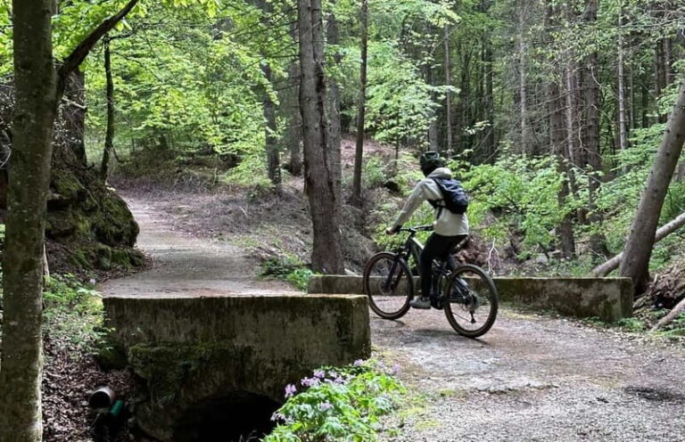 E-BIKE FAMILY TOUR: Andalo and Priori area - What You’ll Experience on the Tour