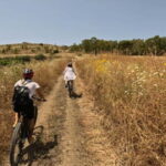 E-bike & Food Experience in the Valley of the Temples: history, nature, and traditions - The Culmination: Sicilian Farmhouse Dining