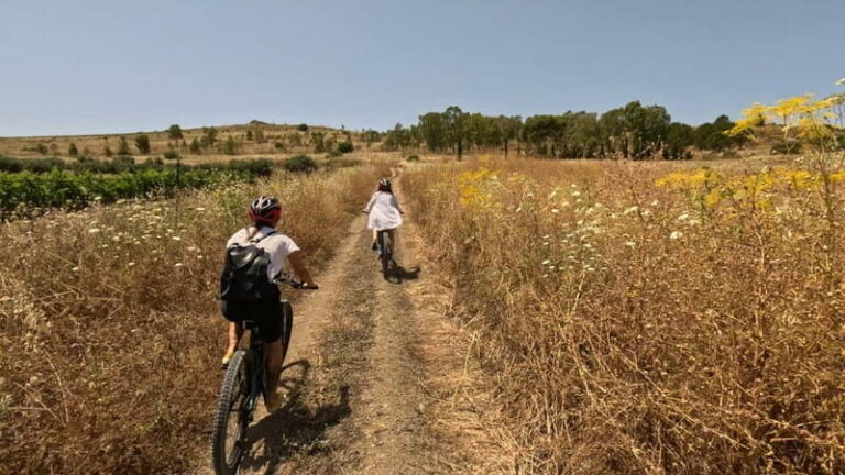E-bike & Food Experience in the Valley of the Temples: history, nature, and traditions - The Culmination: Sicilian Farmhouse Dining