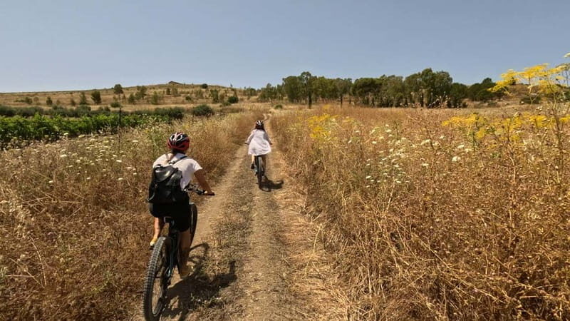 E-bike & Food Experience in the Valley of the Temples: history, nature, and traditions - The Culmination: Sicilian Farmhouse Dining