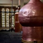 E-bike-Full Day- Olive oil Factory & Wine Tasting - A Breakdown of the Itinerary