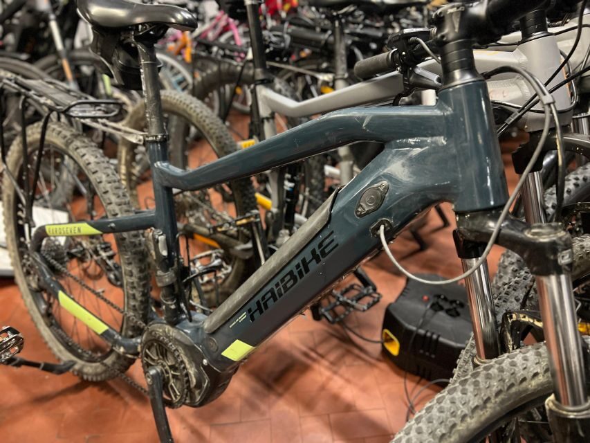 E-bike full day rental: discover Tuscany countryside - Detailed Breakdown of the Experience