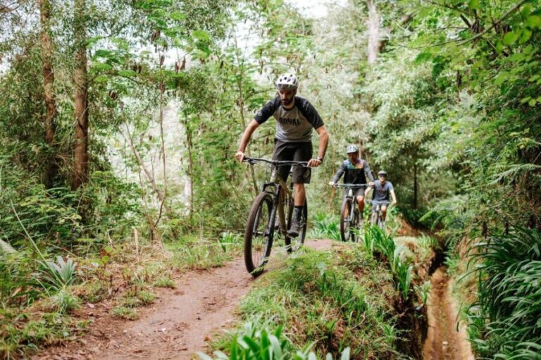 E-Bike Guided Tour - Mountain biking experience - What Makes This Tour Stand Out
