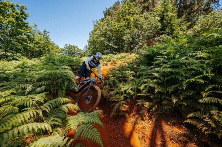 E-Bike Guided Tour - North Side Mountain Biking - In-Depth Breakdown of the Route