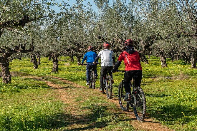 E-Bike Kalamata Olive Routes - An In-Depth Look at the E-Bike Kalamata Olive Routes