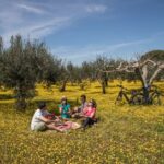 e-bike ring tour between Locorotondo and Martina Franca - Exploring the Itinerary in Detail