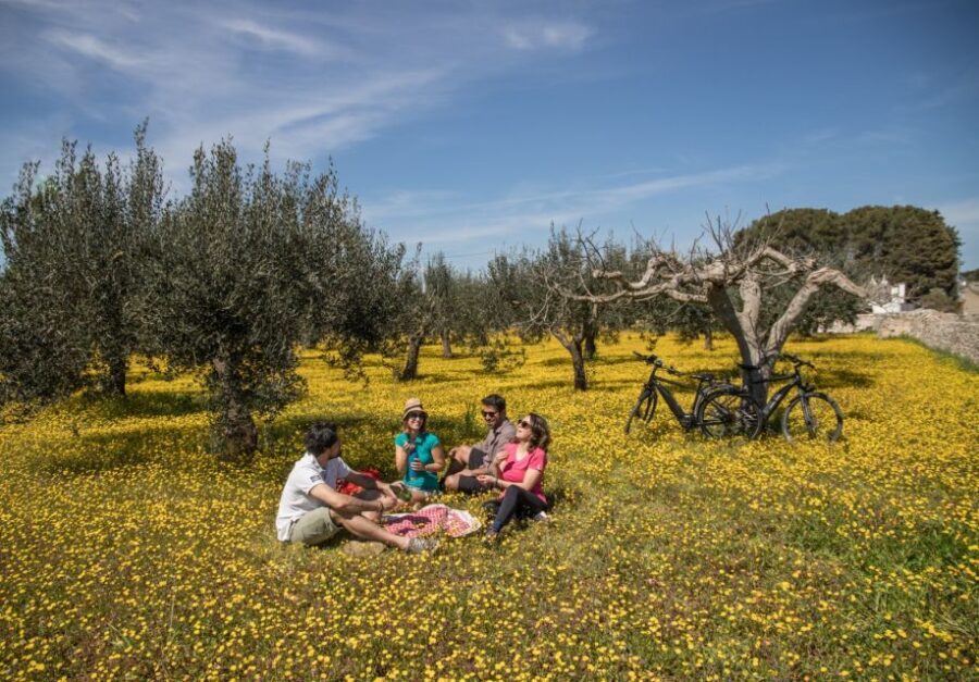 e-bike ring tour between Locorotondo and Martina Franca - Exploring the Itinerary in Detail