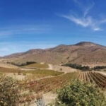 e-Bike Through Douro Valley Wine Region for Half Day Tour - The Route and Its Highlights