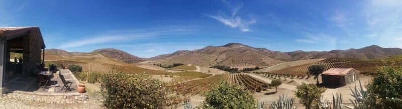 e-Bike Through Douro Valley Wine Region for Half Day Tour - The Route and Its Highlights