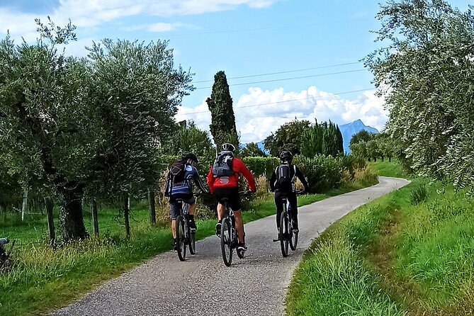 E-Bike Tour and Wine Tasting from Bardolino - A Practical and Enjoyable E-Bike & Wine Tasting Tour from Bardolino