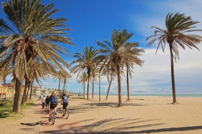 E-bike Tour: Beaches, & City of Arts and Sciences (From 30,00) - Introduction