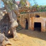 E-bike tour from Monopoli to the rocky village of St. Andrew - An In-Depth Look at the Itinerary