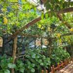 E-Bike Tour in the Sorrento Peninsula and Visit to Acetaia - An In-Depth Look at the E-Bike Tour Experience
