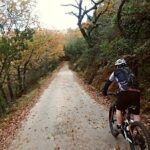 E-bike Tour: Peneda Geres National Park - Serra Amarela - Exploring the Details of the Route