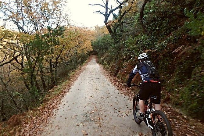 E-bike Tour: Peneda Geres National Park - Serra Amarela - Exploring the Details of the Route