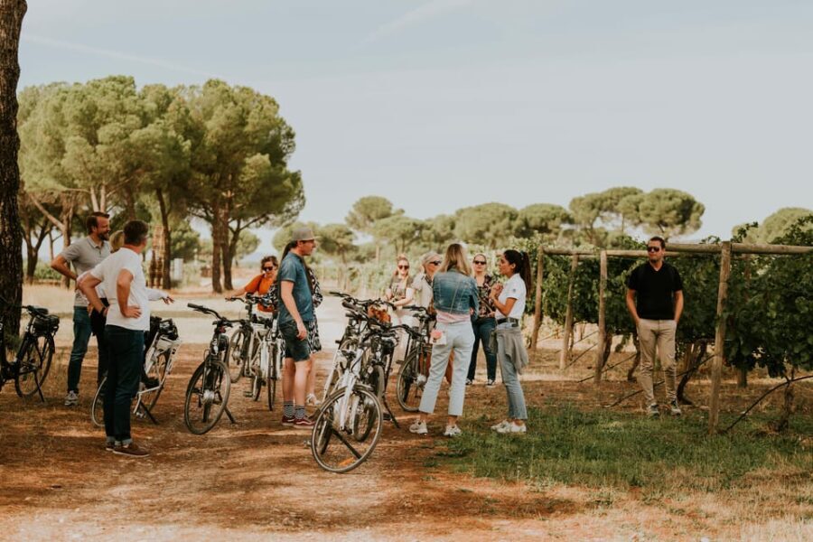 E-bike tour & Picnic in an Exclusive winery Estate - An Authentic Day in the Heart of Nature and Wine