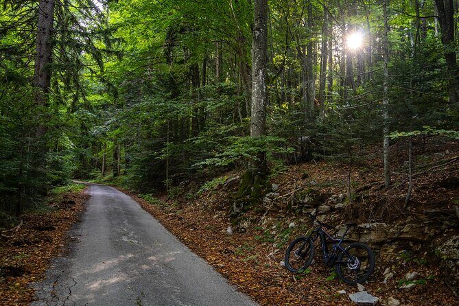 E-Bike tour Plitvice Big Waterfall Viewpoints & Tito's Villa - What Makes This Tour Stand Out?