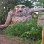 E-biking Northern Forgotten Giants' s Adventure - Practical Details: What You Need to Know