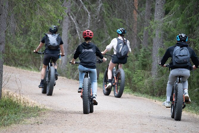 E-Fatbike Tour from Rovaniemi - Key Points