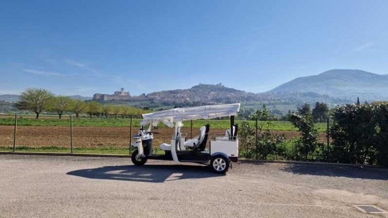 E - Tuk Panoramic Tour Assisi with audio guides - Detailed Itinerary & Experience