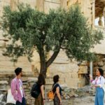 Early Entry Acropolis & Museum. Beat the Crowds & the heat - What to Expect from the Itinerary