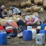 Eastern Turkey 12-Day Sightseeing Tour from Trabzon - Authentic Insights from Travelers