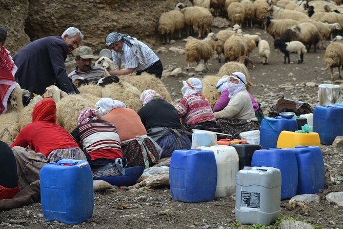 Eastern Turkey 12-Day Sightseeing Tour from Trabzon - Authentic Insights from Travelers