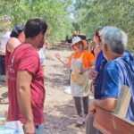 Eat in the vineyards like a Duriense - An In-Depth Look at the Experience
