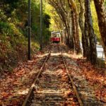 Eat, Wine, Love and Jeep in Sintra - The Itinerary: A Closer Look