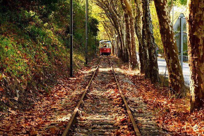 Eat, Wine, Love and Jeep in Sintra - The Itinerary: A Closer Look