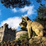 eBiking Glenveagh National Park. Donegal. Self guided. 3 hours. - FAQ