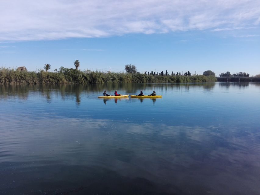 Ebro Delta: Guided Kayak Tour to Gracia Island - What Travelers Say