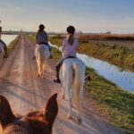Ebro Delta National Park: Guided Horseback Riding Tour - Discovering the Ebro Delta on Horseback: An In-Depth Look